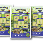 Buy Live Ladybugs Online – Green Thumb Nursery